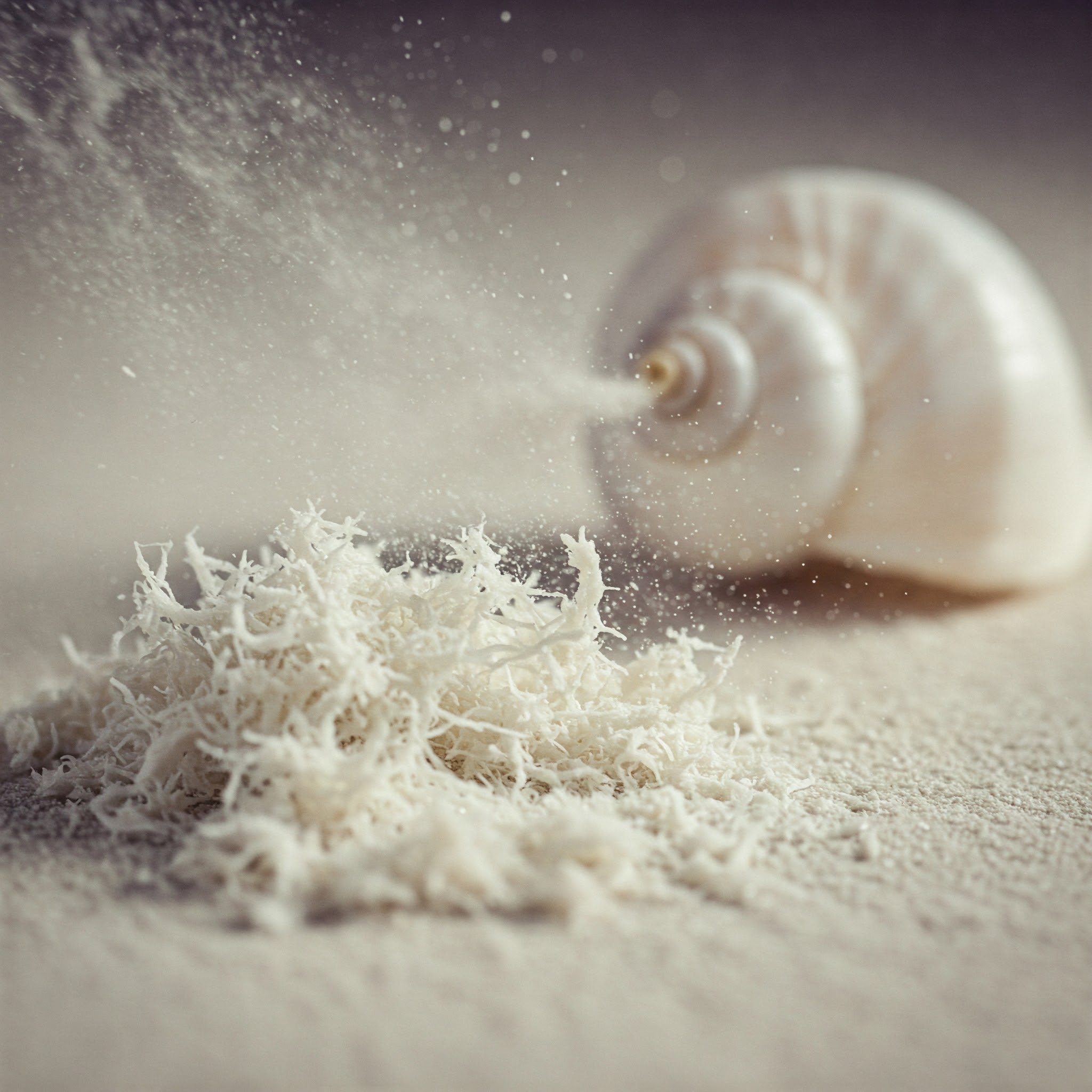 How to Use Shankh Powder on Face or Skin: Benefits, Uses & Step-by-Step ...